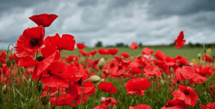 Our new organisational design in preparation for the National Energy ...